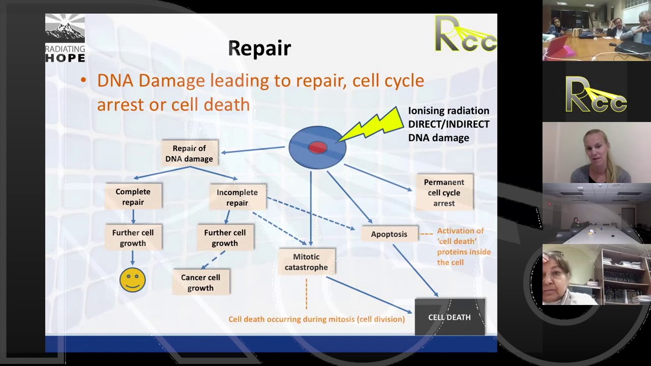 Rayos Contra Cancer HDR Brachytherapy Session 14: Radiobiology and EQD2 ...