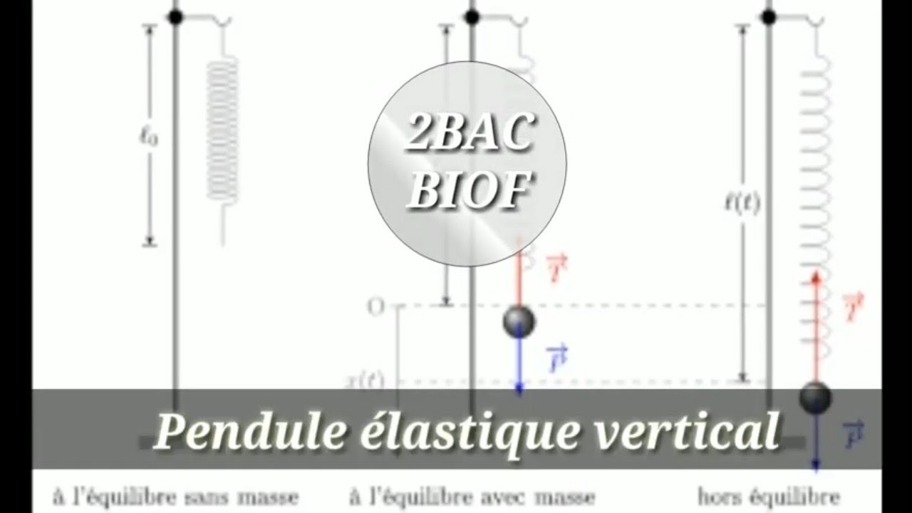 Le pendule élastique vertical/établissement de l'équation différentielle - YouTube