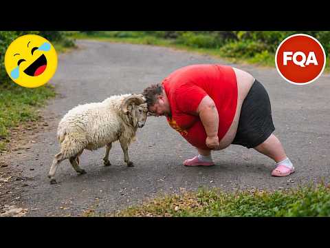 Try Not To Laugh 🤩 Top 100 Funniest Videos Ever 😆 Funny Videos Compilation 2026 P103