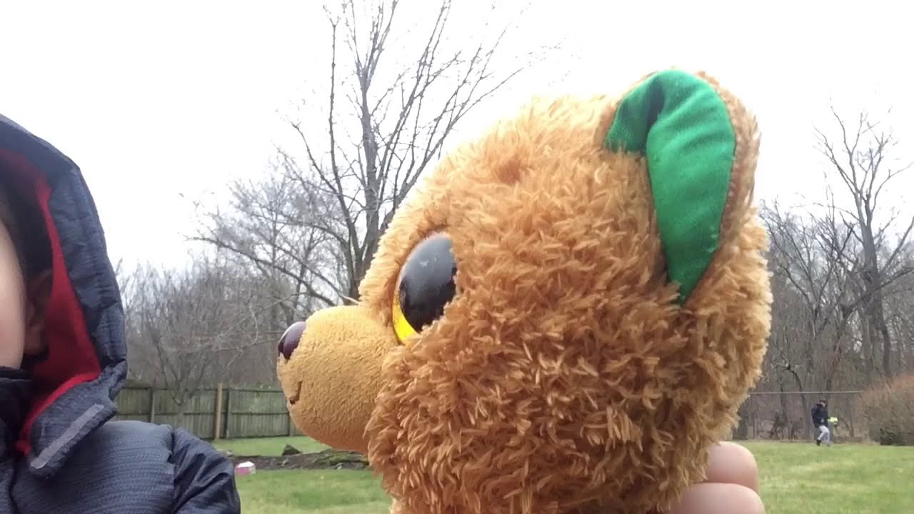 Taking the diamond from froggy the action of brothers episode season ...