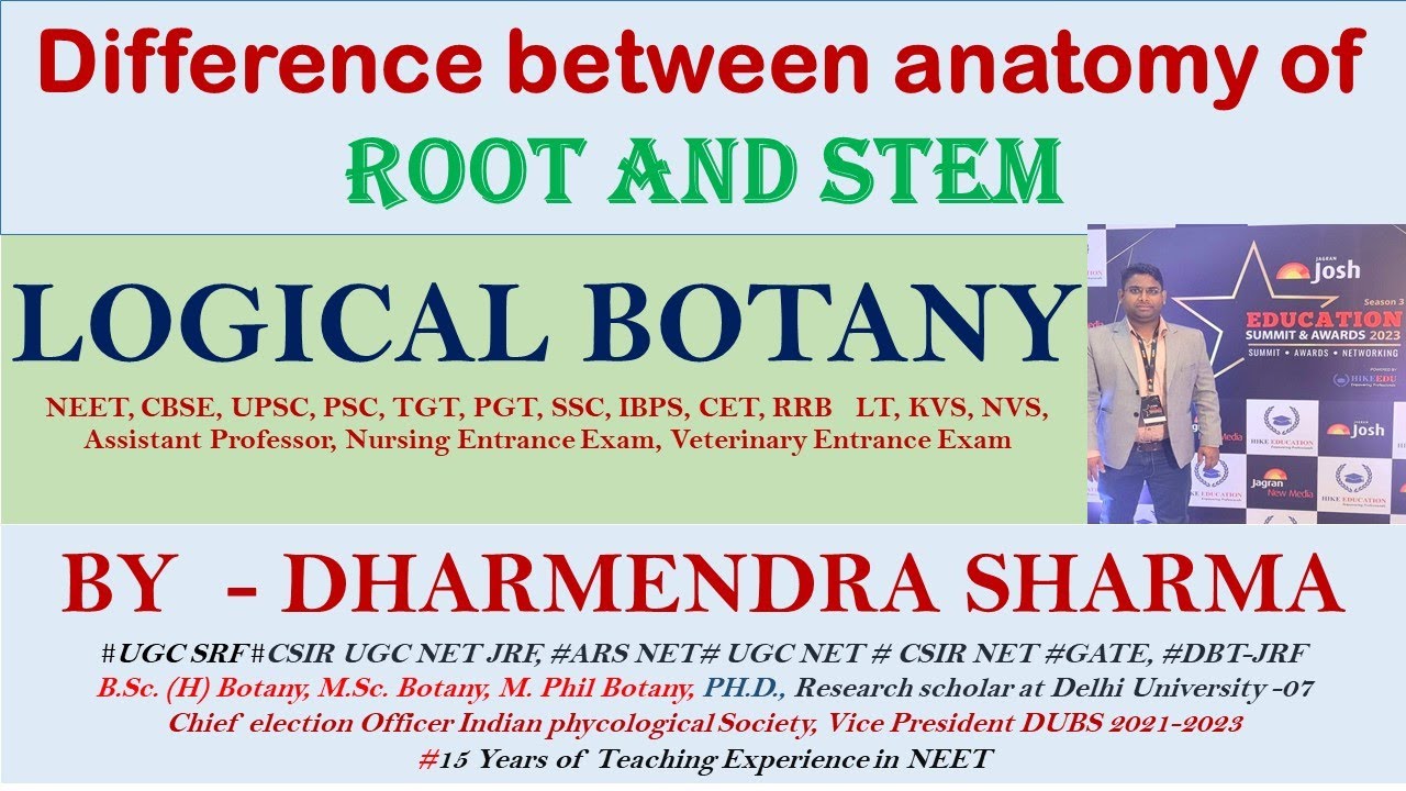 Difference between anatomy of Root and Stem II NCERT, Plant anatomy BY ...