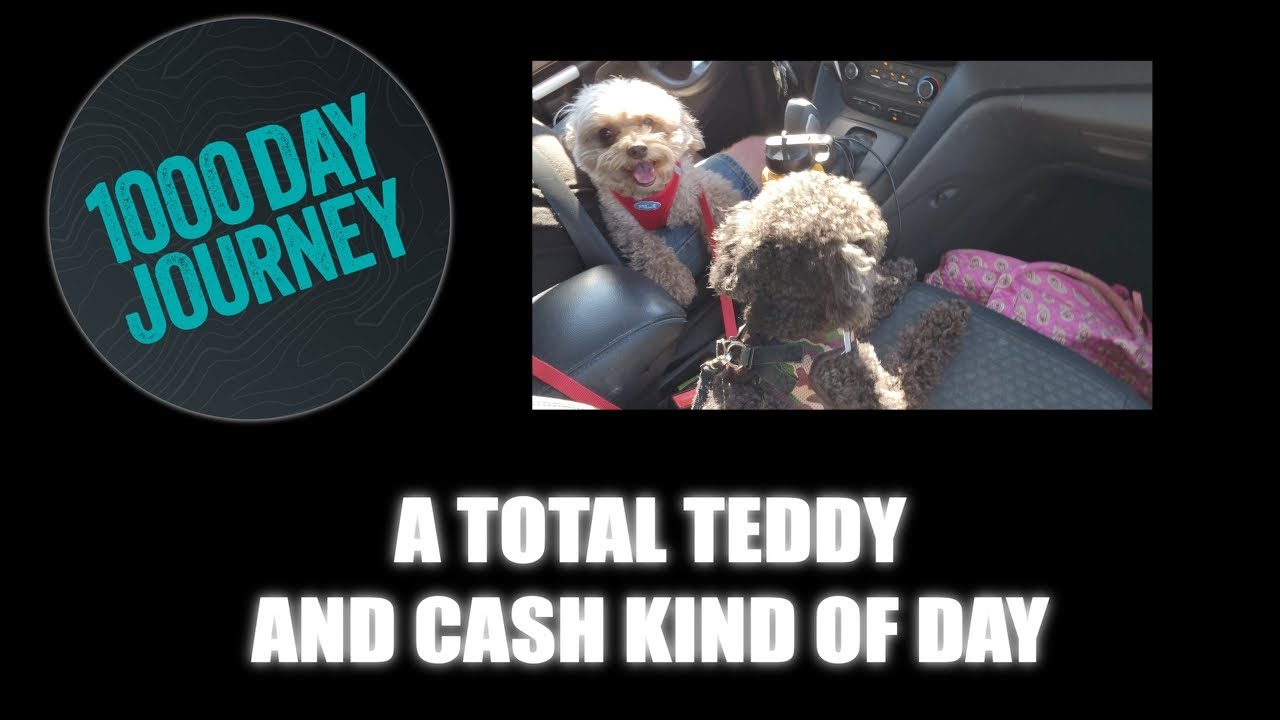 1000 Day Journey 0465 A Total Teddy & Cash Kind of Day - YouTube