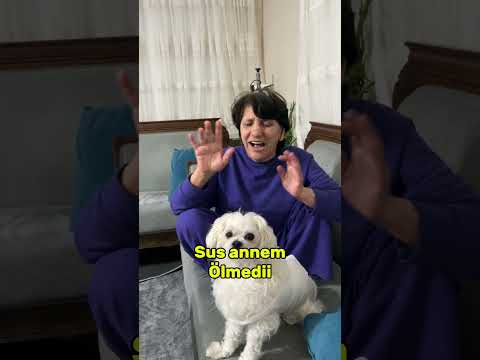 Canın doğumunu anlatıyor ❤️