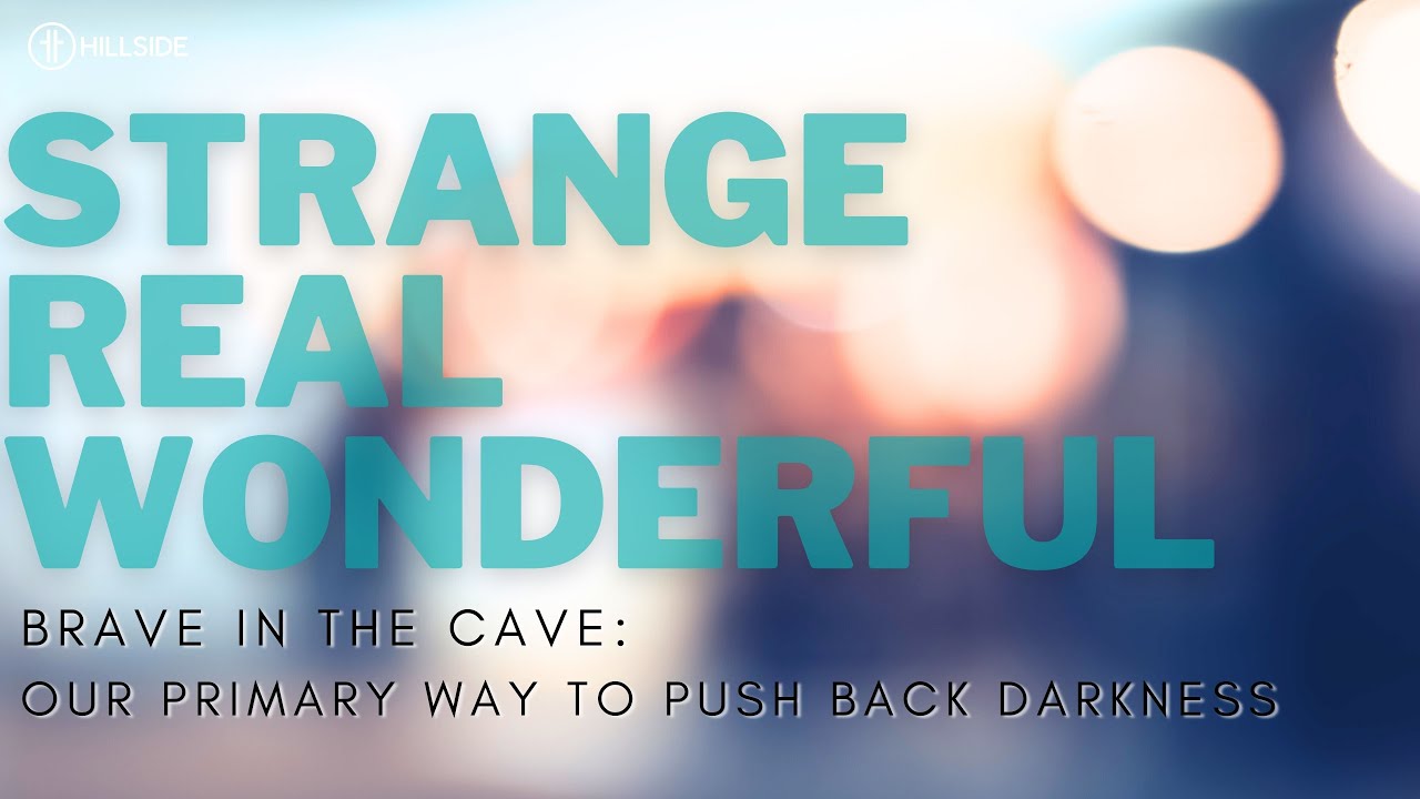 Brave in the Cave: Our Primary Way to Push Back Darkness - Dan Seitz ...
