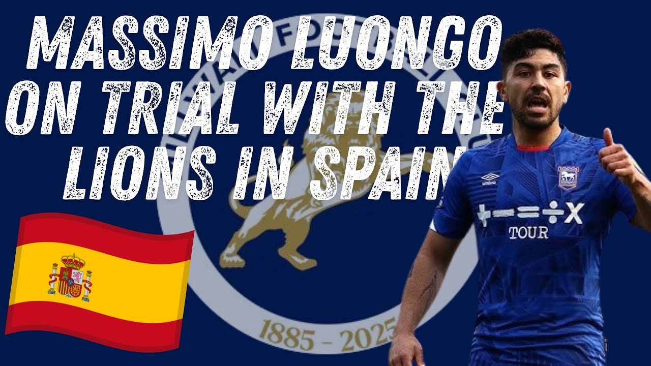 THE DEN DAILY- MASSIMO LUONGO ON TRIAL WITH THE LIONS IN SPAIN # ...