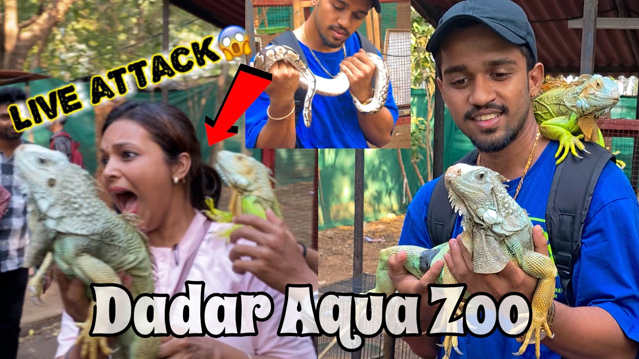 Marine Aqua Zoo Dadar🔥😍 || Explore Zoo|| YashOmbale vlogs - YouTube