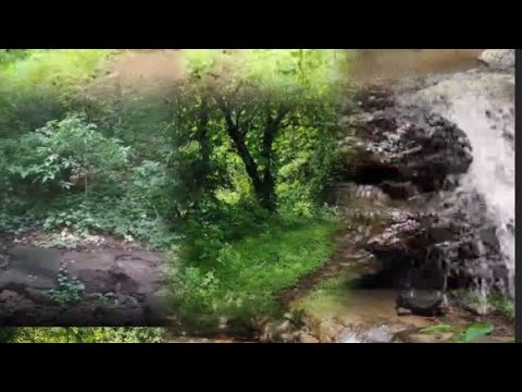Nature and Beauty of Malwada (Mumbai)🌳 - YouTube