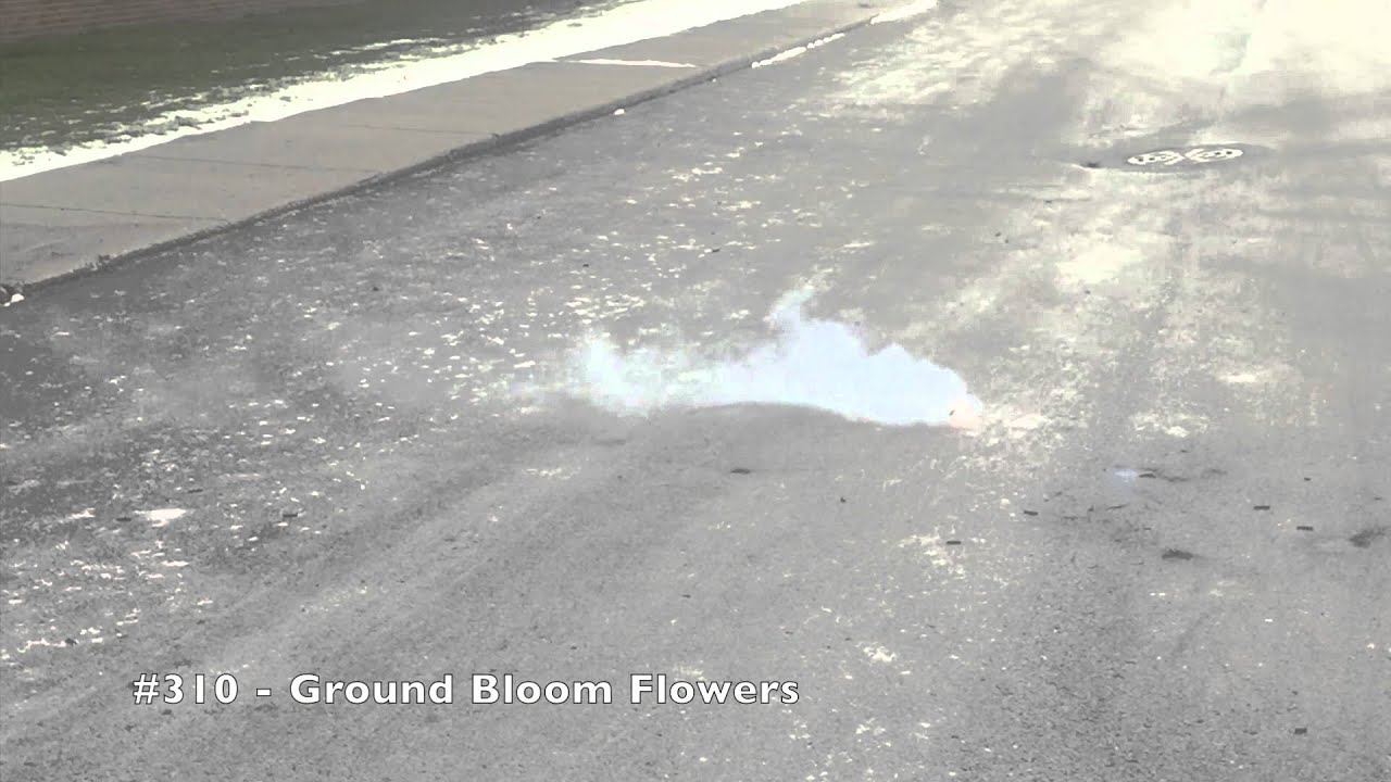 310 Ground Bloom Flowers - YouTube