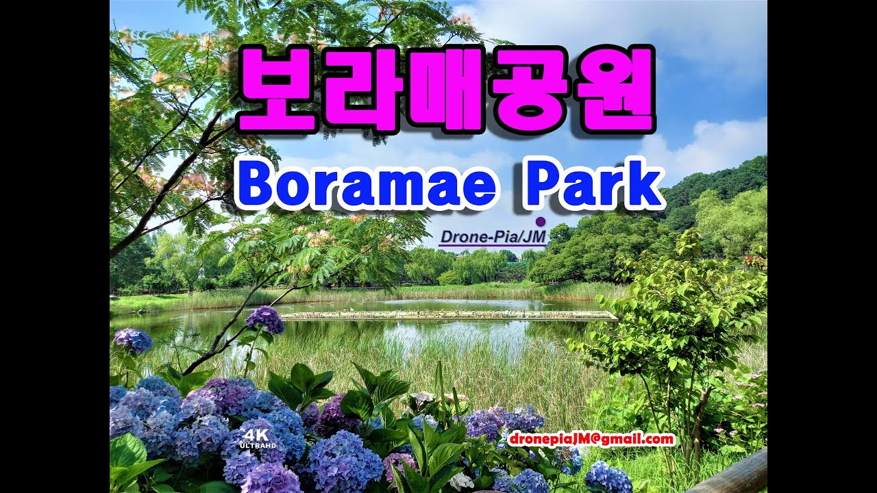 (Dronepia-JM) 보라매공원 - Boramae Park - YouTube