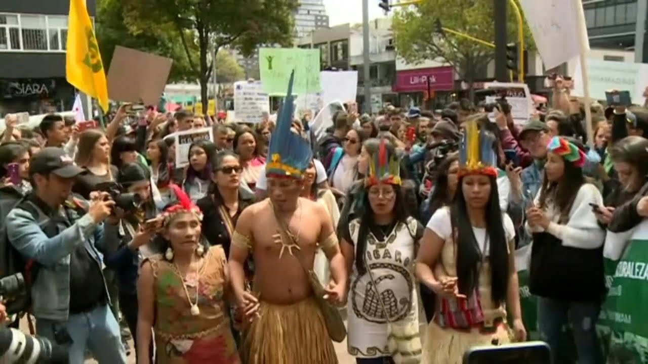 Protest in Bogota against damage to the Amazon rainforest | AFP - YouTube