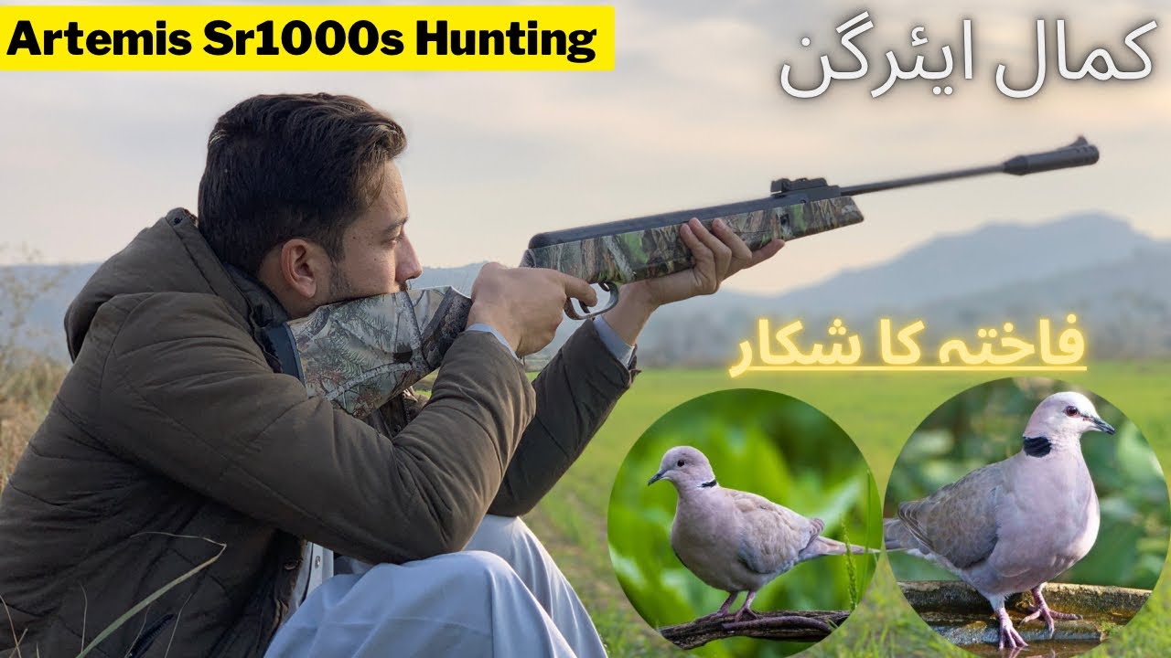 Artemis sr1000s airgun hunting | Very Powerful 900 fps in low price ...