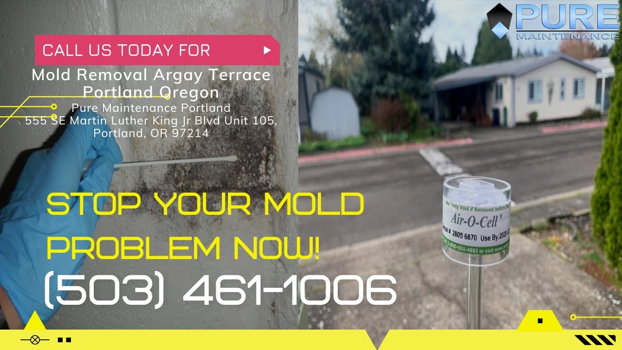 Mold Removal Argay Terrace Portland Oregon - Pure Maintenance Portland ...