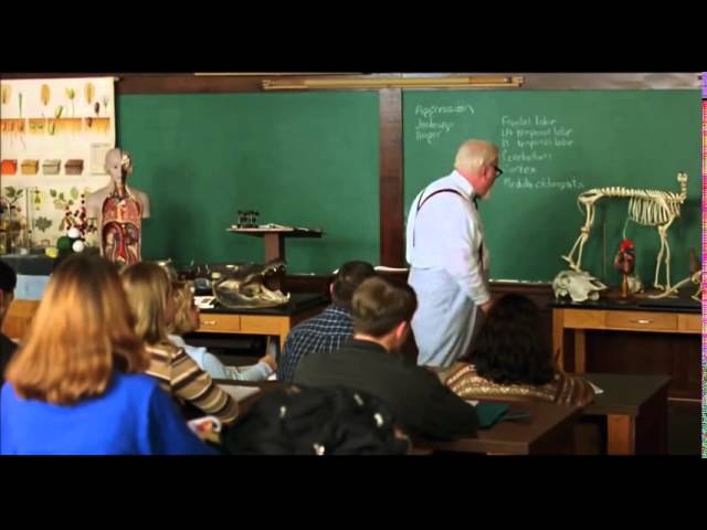 Youtube Waterboy Medulla Oblongata Alligators Are Ornery | The