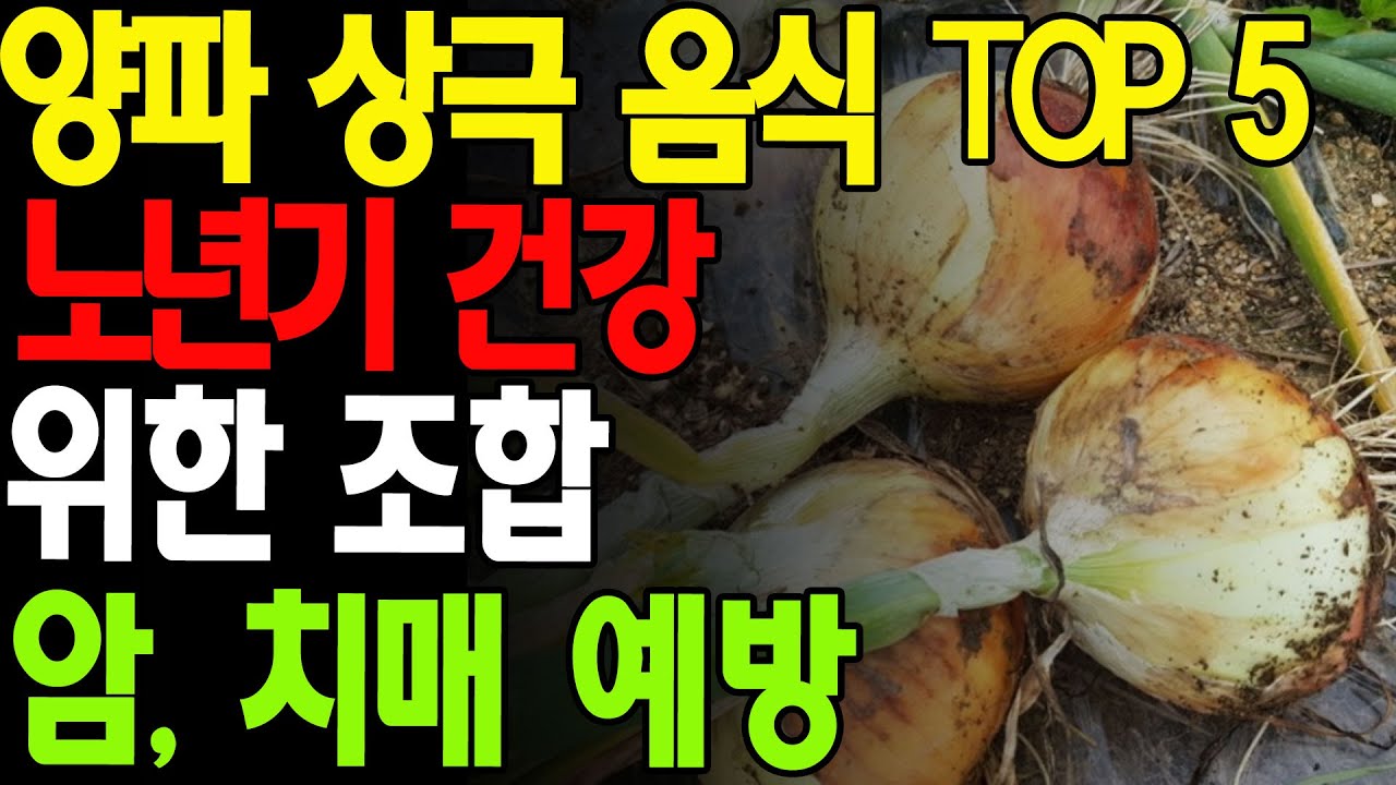 양파와 절대 같이 먹으면 안 되는 음식 Top 5 노년기 건강을 위한 양파 섭취 이 조합은 피하세요 암과 치매 예방을