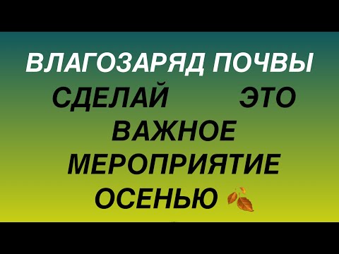 ВЛАГОЗАРЯД ПОЧВЫ ЭТО ГЛАВНОЕ ОСЕНЬЮ ДЛЯ РАСТЕНИЙ