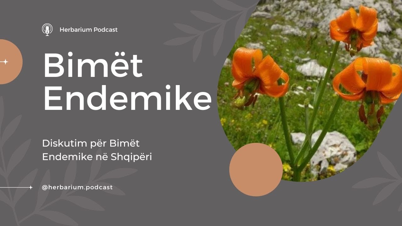 Herbarium Podcast #1 - Bimet Endemike - YouTube