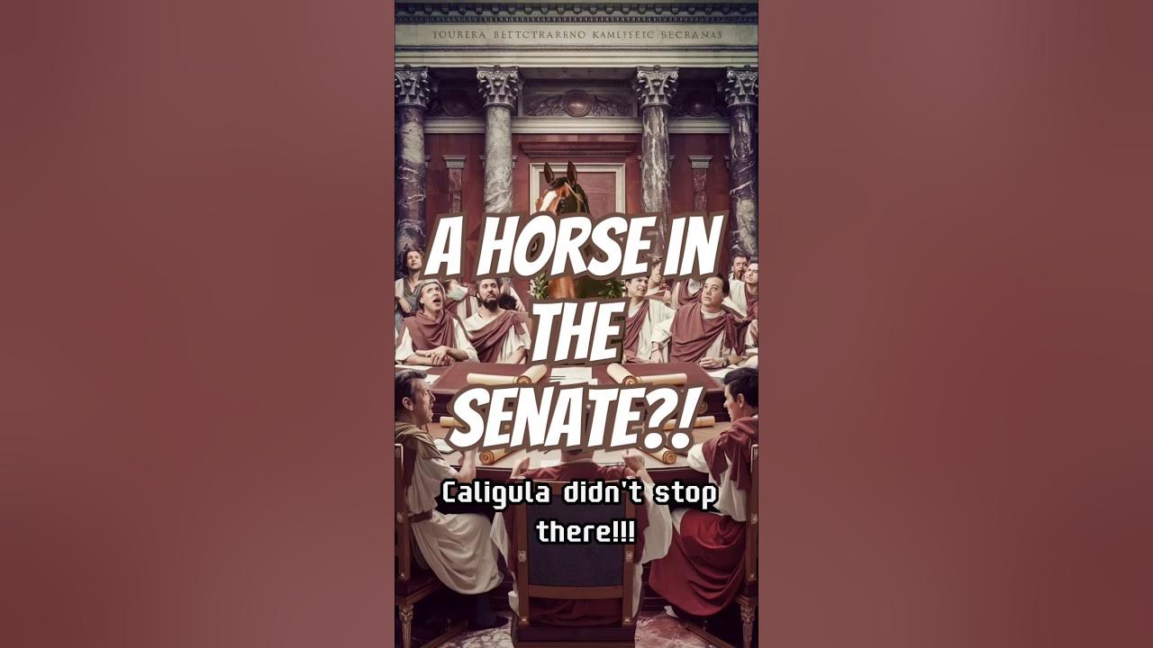 Caligula and His Horse: The Eccentric Tale of Incitatus | Bizarre ...