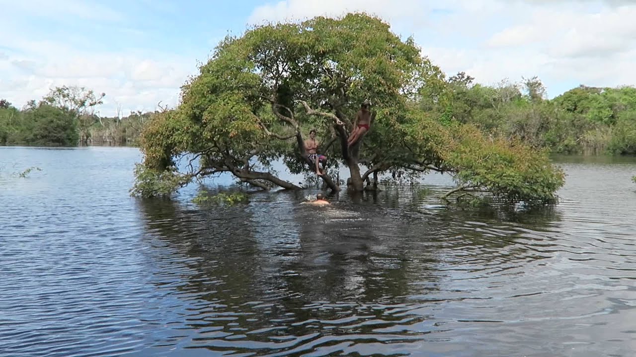 Swimming in the Amazon Tupana river - YouTube