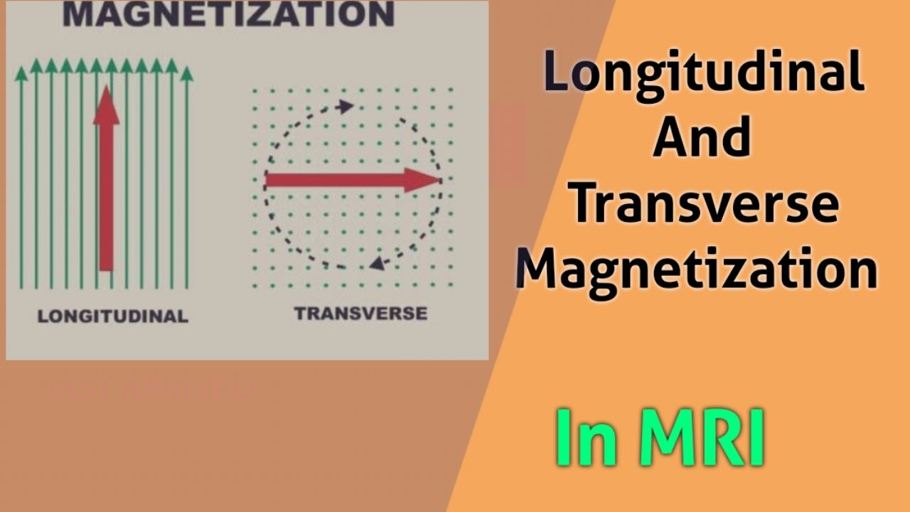 longitudinal and transverse magnetization in mri | longitudinal and ...