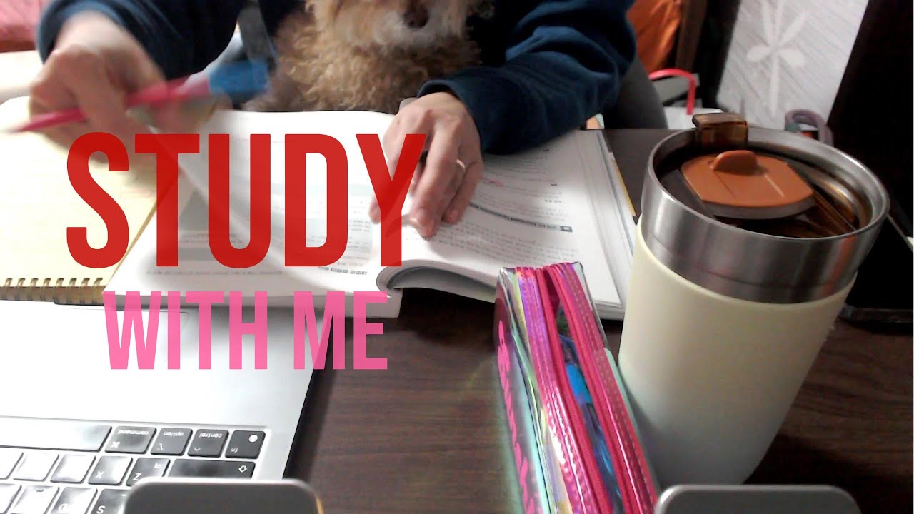 [study with me] 21-02-2024 / 프로그래밍공부 / 재즈 / 코딩 / 비오는날 / coding ...