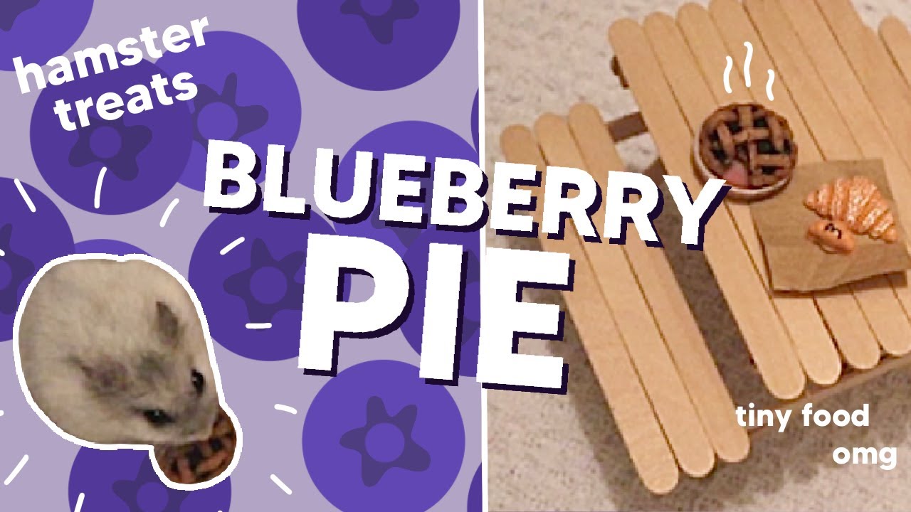 Baking a Tiny Blueberry Pie for My Hamster (Kinda Relaxing Kinda ...