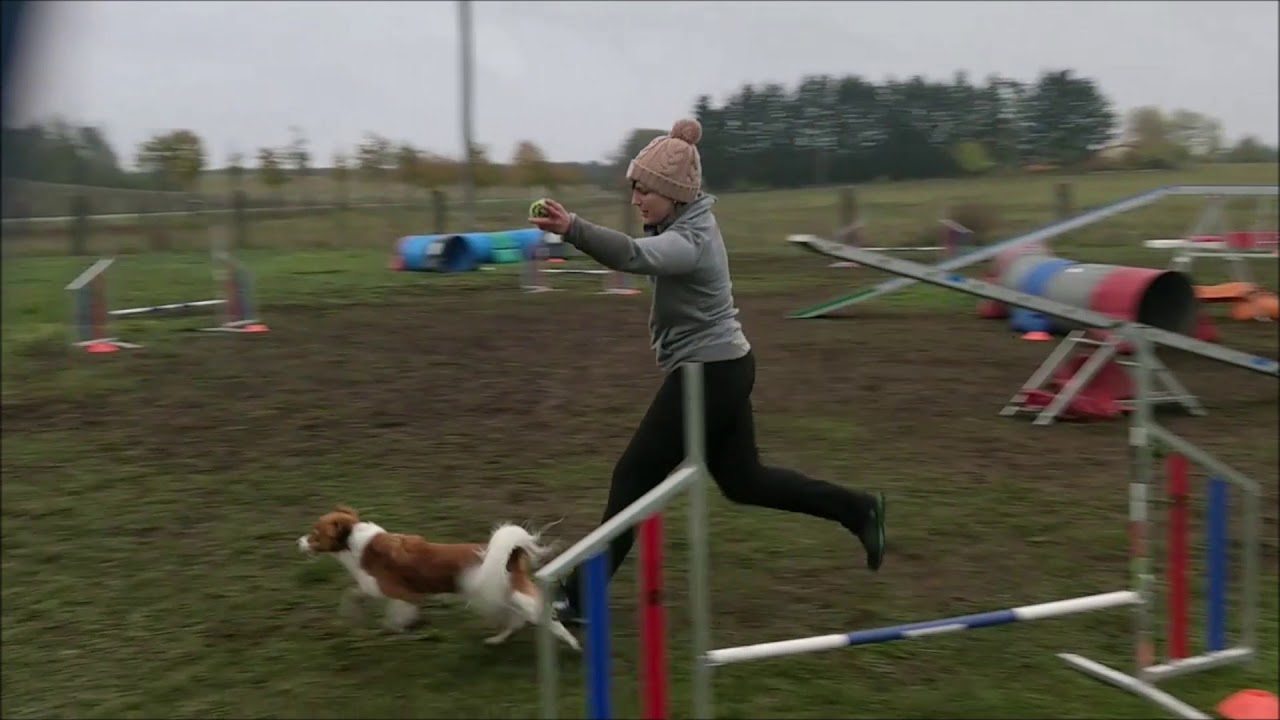 Seminar mit Stephanie Hering - 08./09.11.2019 - YouTube