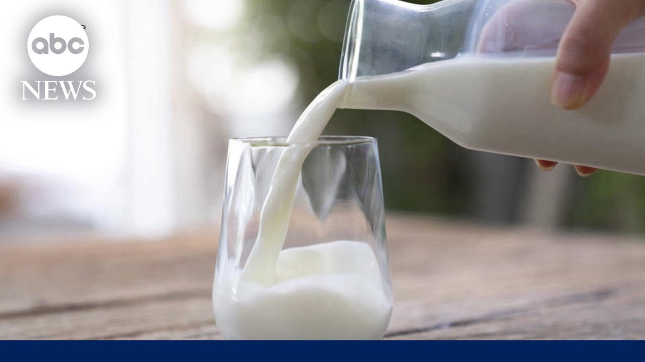 USDA orders raw milk samples nationwide to be tested for bird flu - YouTube