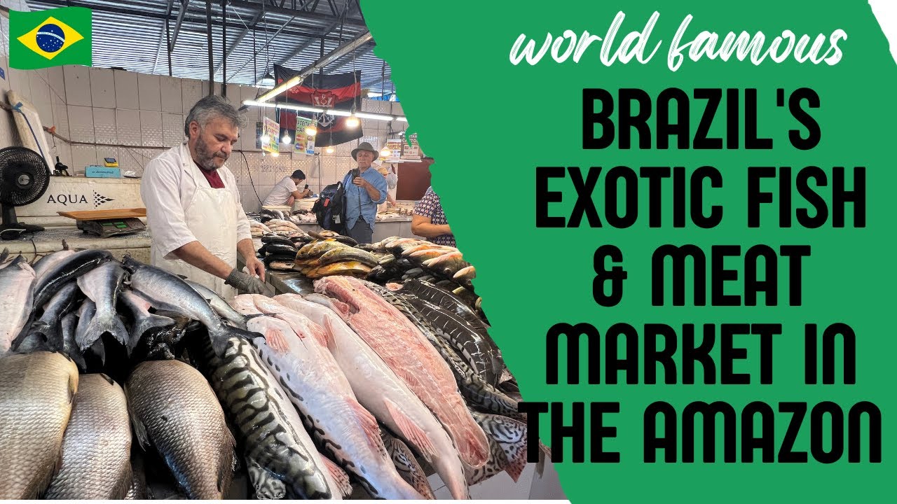 🇧🇷 Why Brazil's Exotic Fish Market Is Like No Other - YouTube
