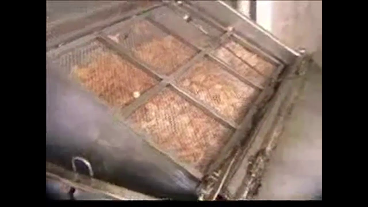 Proceso del chicharrón - YouTube