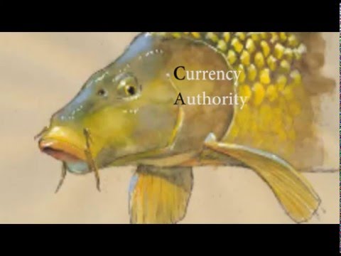 The CARP Method of Website Evaluation - YouTube