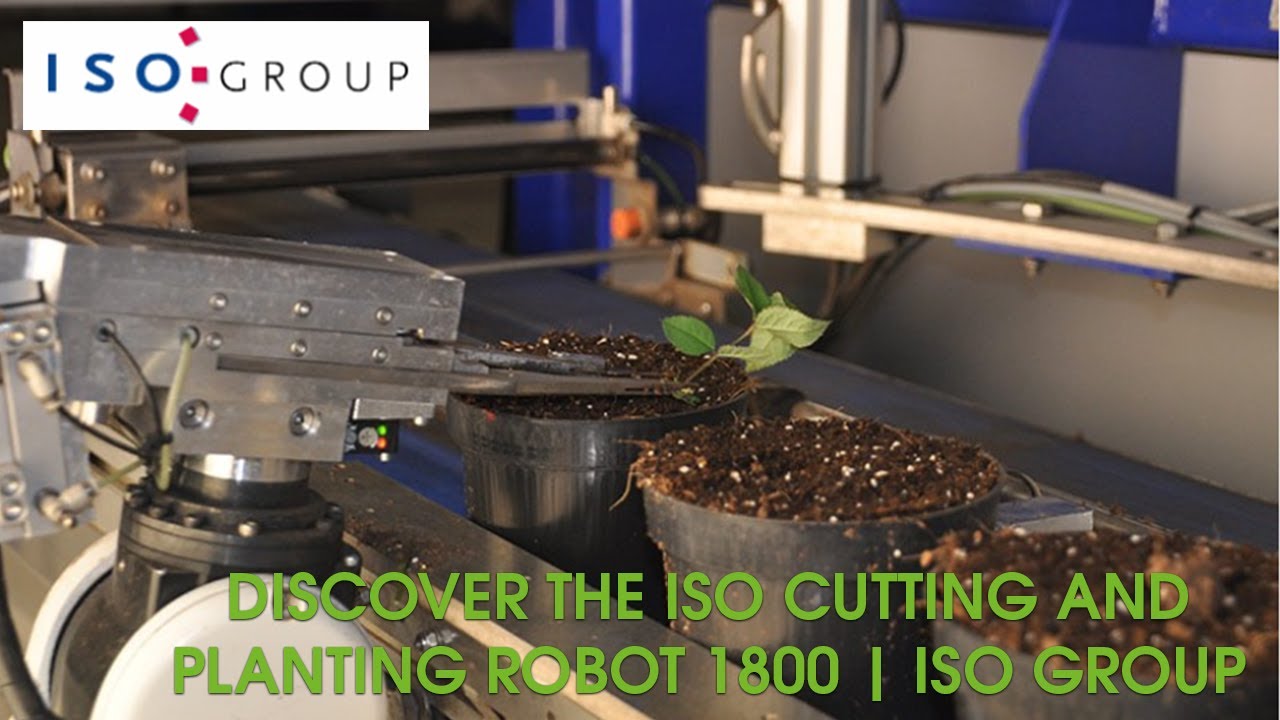ISO Cutting and Planting robot 1800 | ISO Group - YouTube