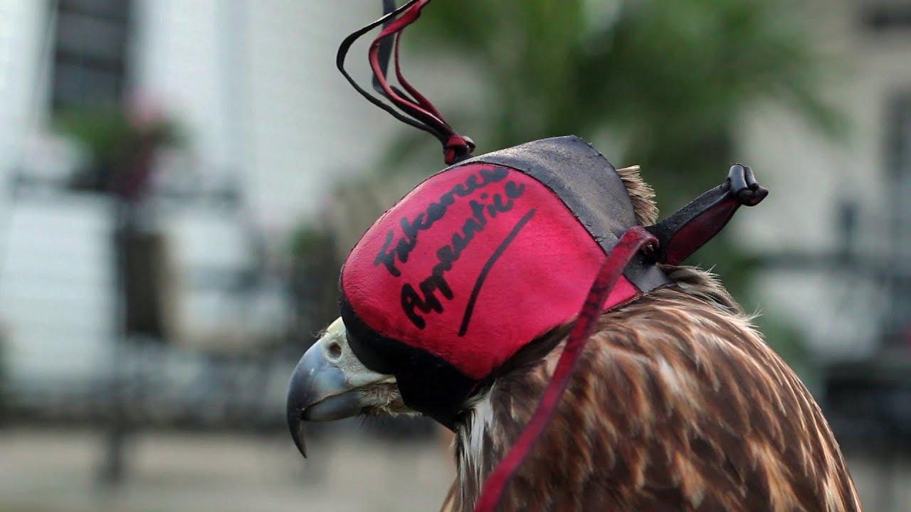 How to Make a Dutch Hood for Falconry - YouTube