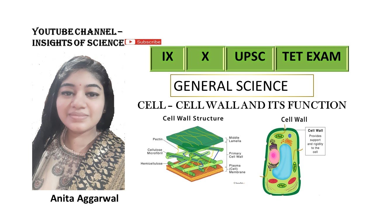 Cell Wall and its function | 9th Class | Chapter- Cell | Anita Aggarwal ...