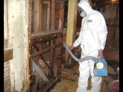 How to remove harmful mold contamination - DECON EXPERTS - YouTube