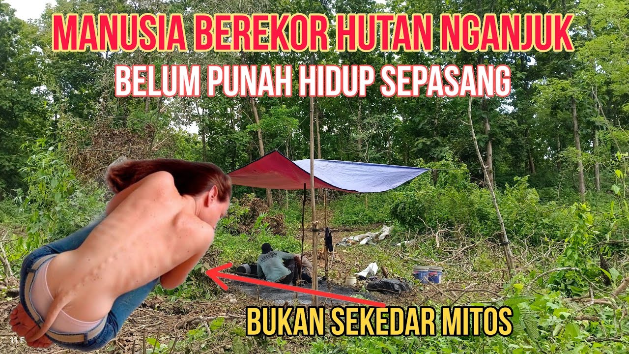 MANUSIA BEREKOR DI HUTAN NGANJUK || belum punah hidup sepasang - YouTube