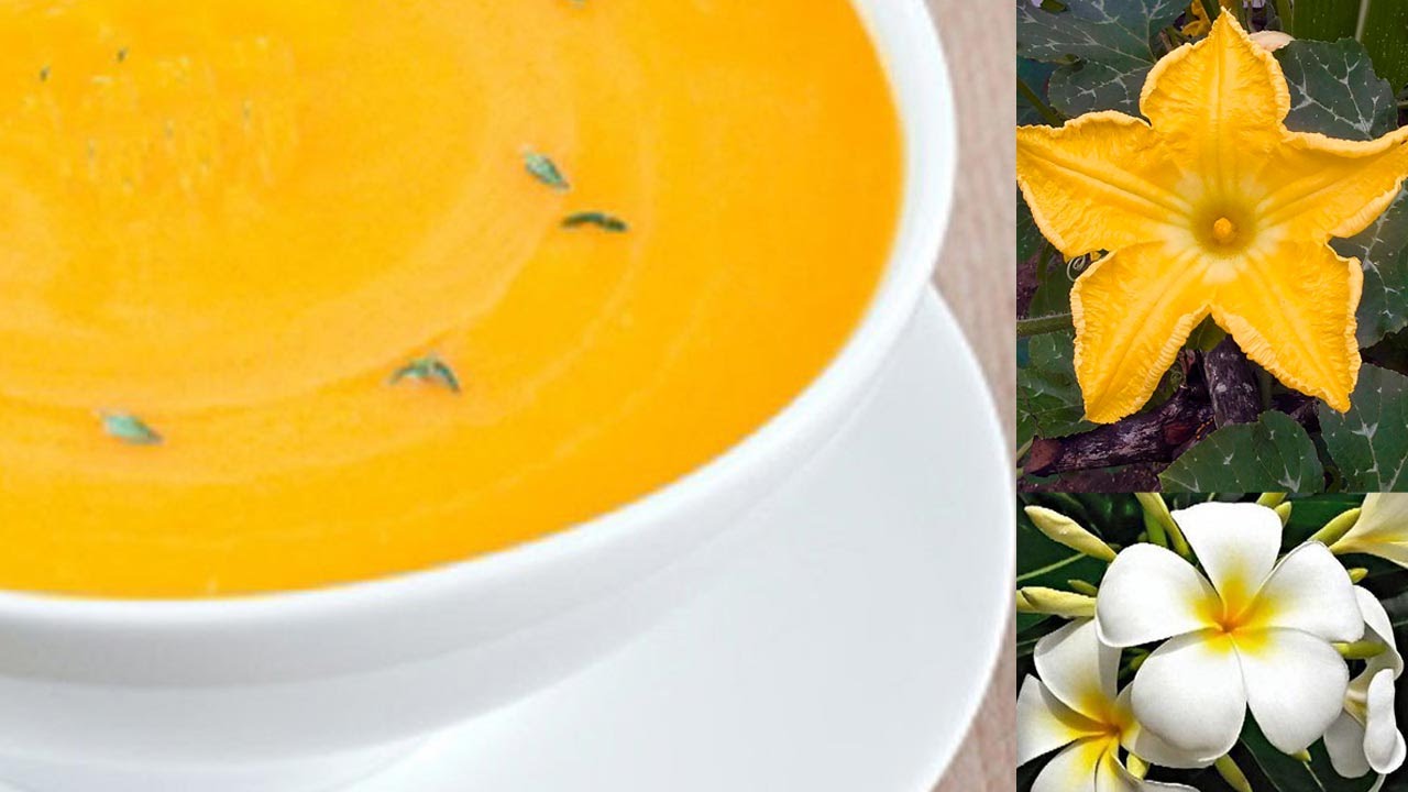 4 Flores que Se Comen en Todo El Mundo - La Delicia de las Flores ...