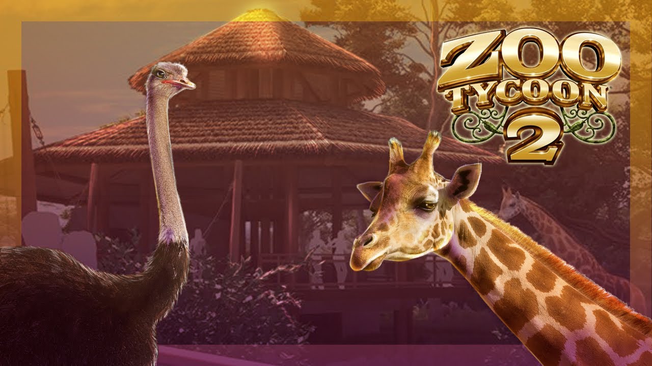 Zoo Zoo pt. 2 Giraffe & Ostrich exhibit - YouTube