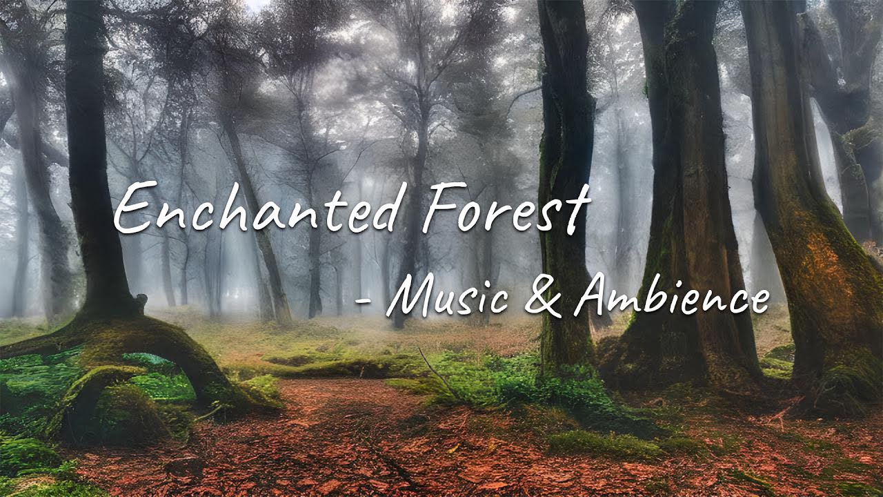 Enchanted Forest - Music & Ambience 🌲🧚🏻Mystical atmosphere and calming ...