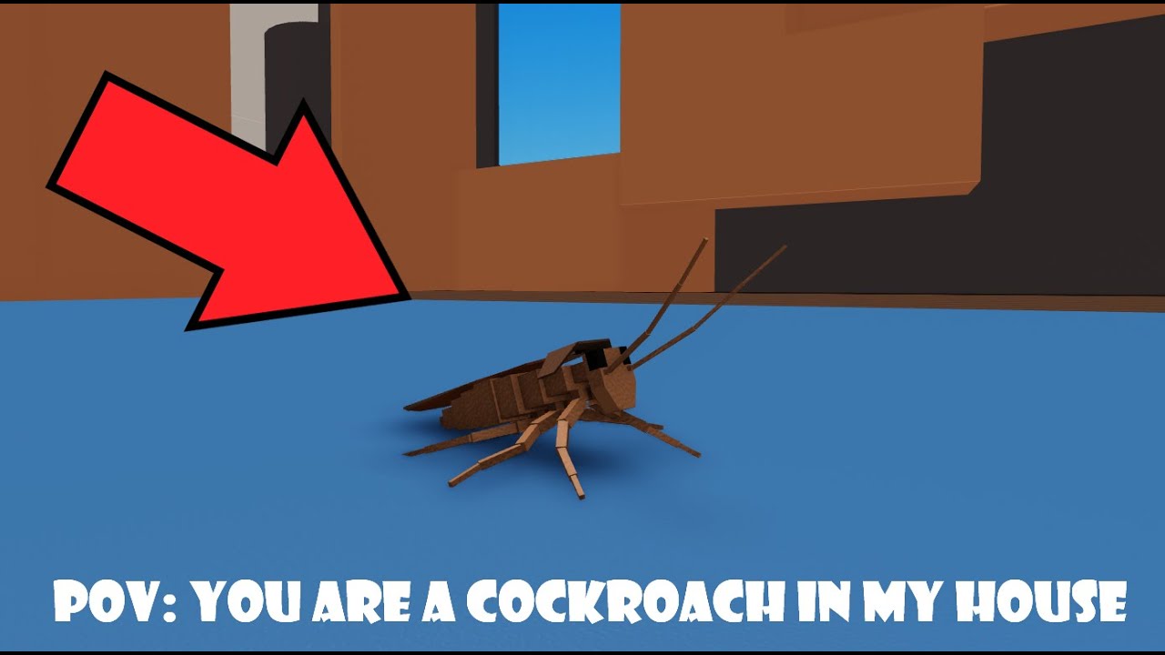 POV: YOU ARE A COCKROACH IN MY HOUSE!! - YouTube
