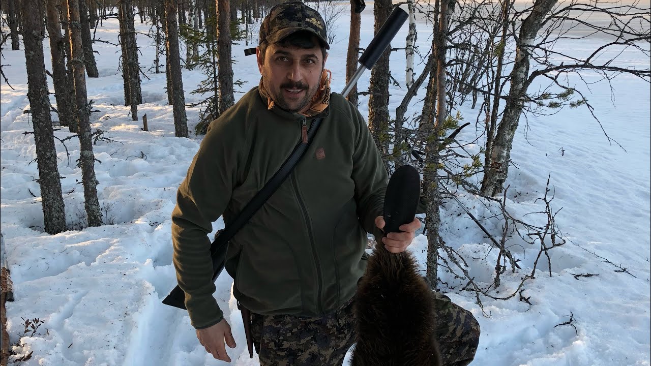 Beaver hunting in the Wild taiga forest-Finlandiya’da Kunduz avı - YouTube