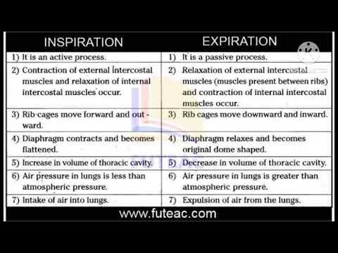 Difference between inspiration and expiration Class 10 - YouTube