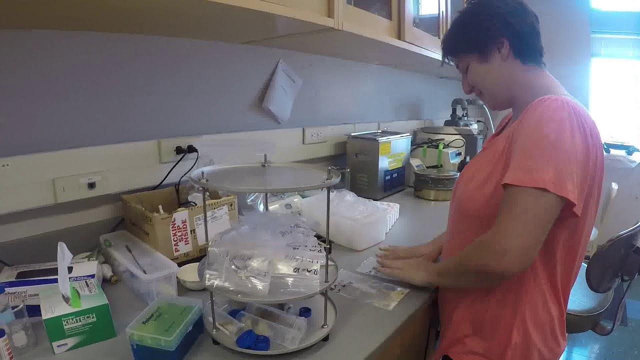 Mercury Analysis Lab - YouTube