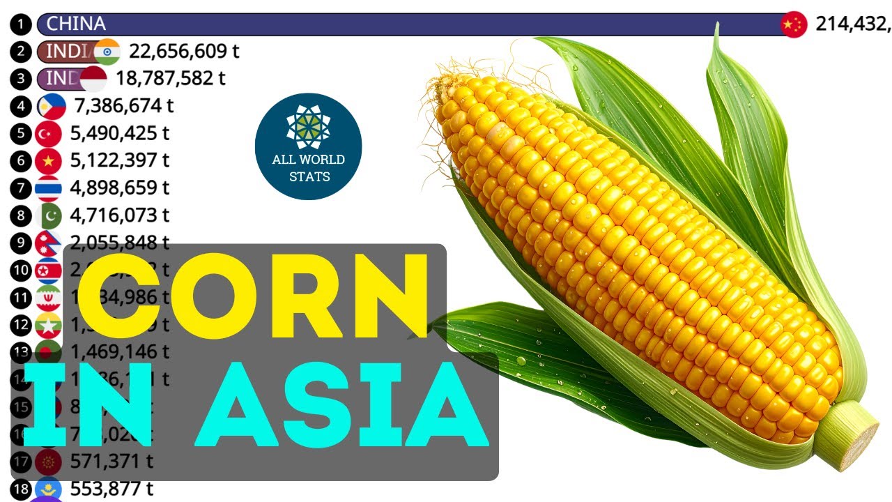 🌽 From China to Indonesia: Corn Production Across Asia - YouTube