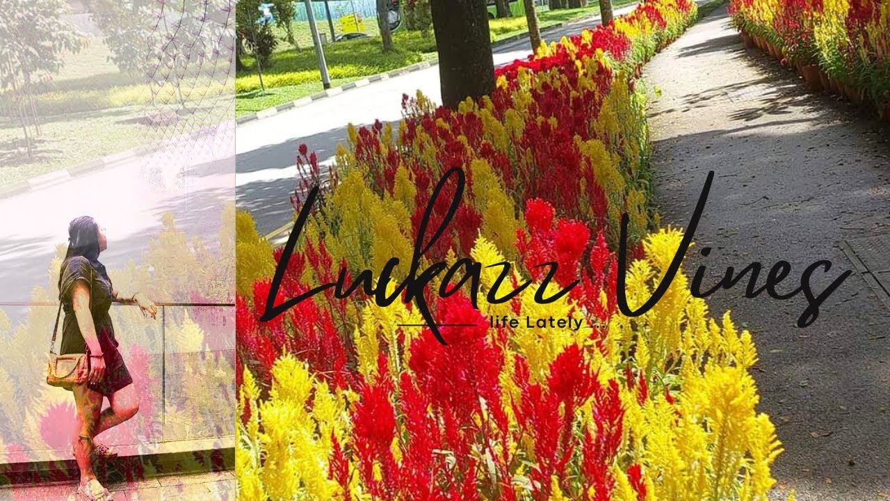 Usaping Masinsinan - YouTube