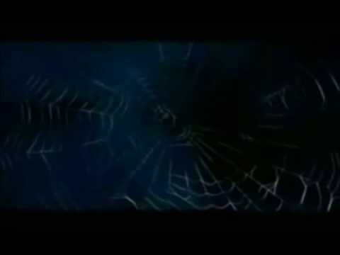 Fake Spider-Man 4 credits - YouTube