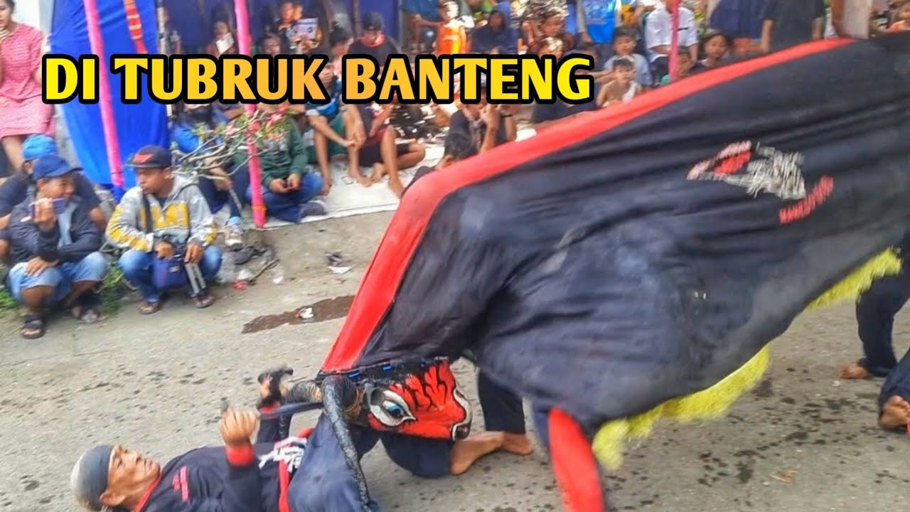 BANTENG KETIP NGAMUK | Rojo maheso syuro - YouTube