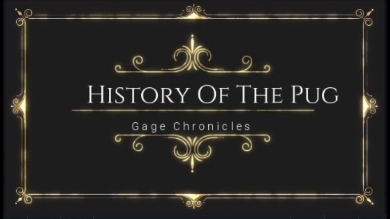 History Of The Origins Of The Pug - YouTube