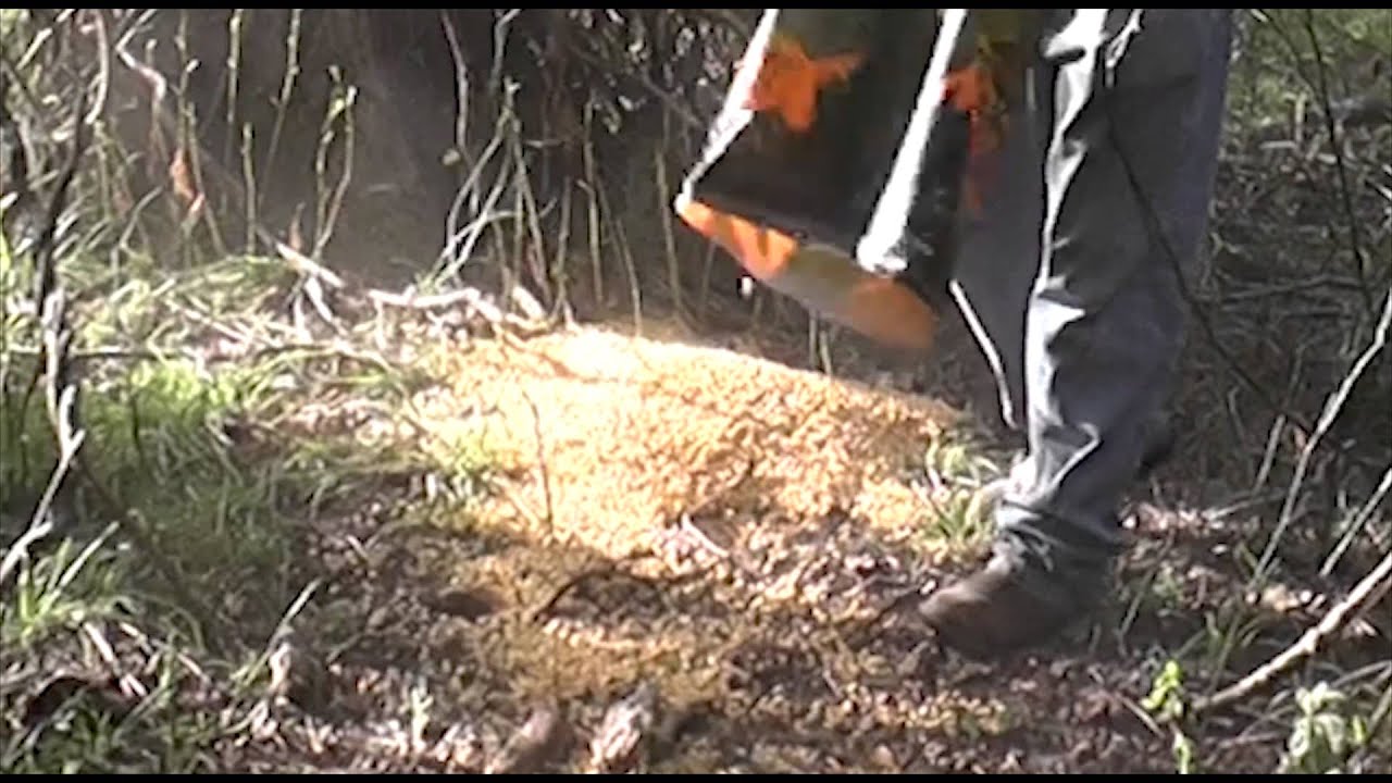 Xplosion Deer Explosion - YouTube