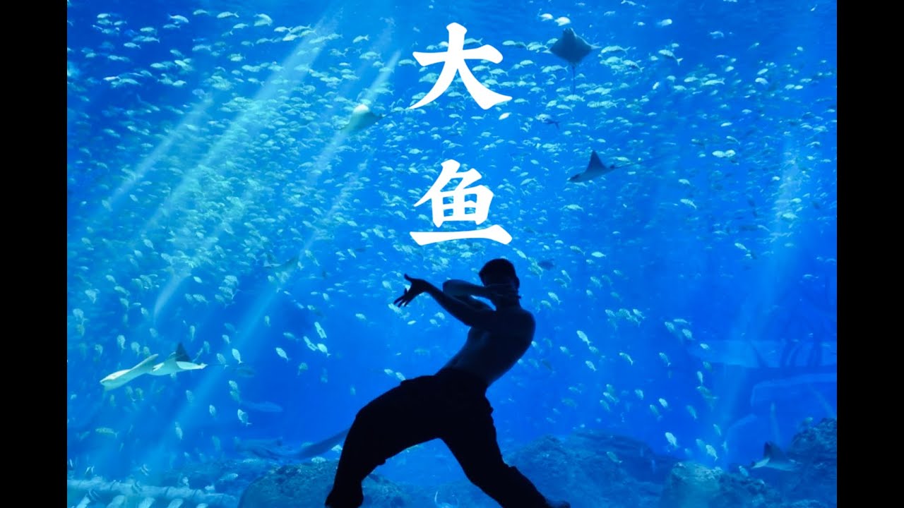 Dancing in an aquarium, Dai dance"Big fish“ - YouTube