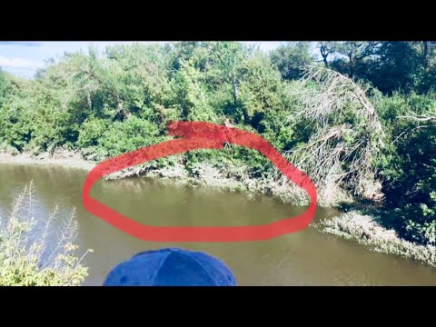 Dope Spot In Buda - YouTube